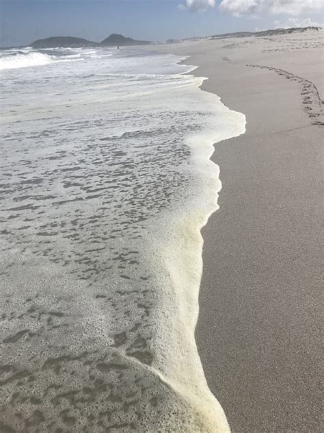 Plage Océan Sable Photo gratuite sur Pixabay Pixabay