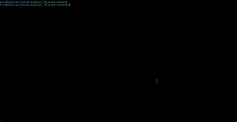 Linux 彩蛋你玩过几个 本 apt 具有超级牛力 CSDN博客