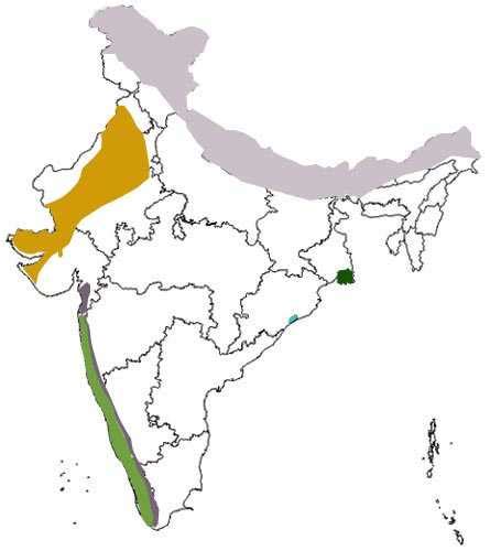 Earth Environment Health Biodiversity Hotspots Of India