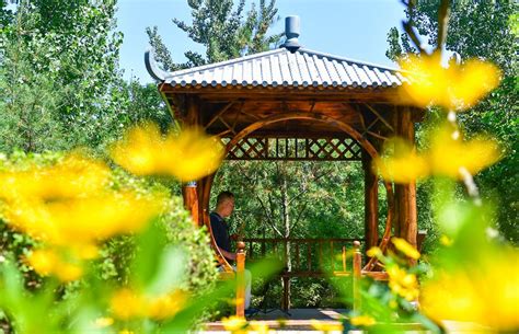 河南洛阳：打造城市社区“10分钟健身圈” 中华网河南