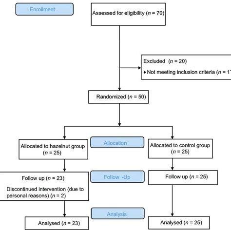 Flow Diagram Of The Progress Through The Phases Of A Parallel Download Scientific Diagram