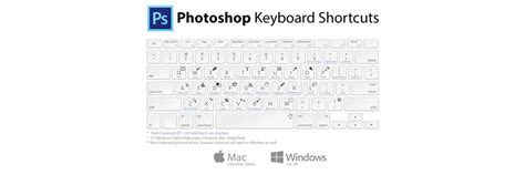 هل تستخدم Adobe Photoshop؟ إليك إذًا أشهر اختصارات برنامج الفوتوشوب