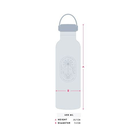 Reusable Flask 600ml Moss Toddy Inc Toddy