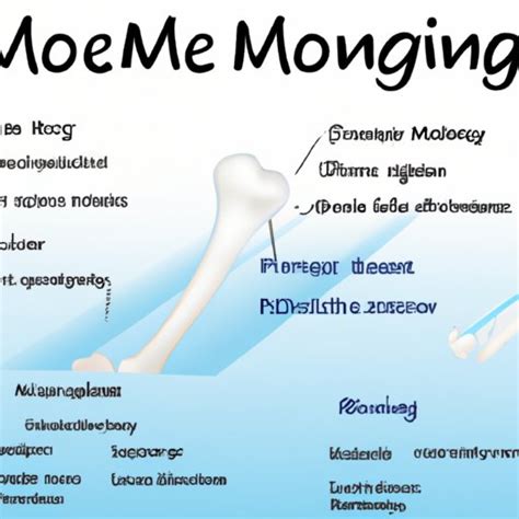 What Is Bone Mineralization Exploring Its Role In Human Health The