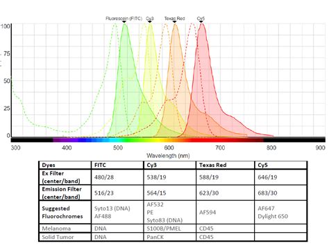 GeoMx DSP Knowledge Base Assays Applications NanoString