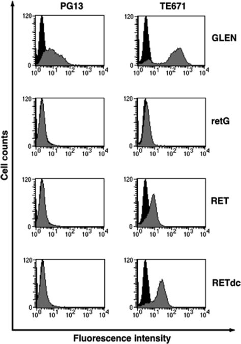 Flow Cytometry Analysis Of Gfp Expression In Producer And Target Cells Download Scientific