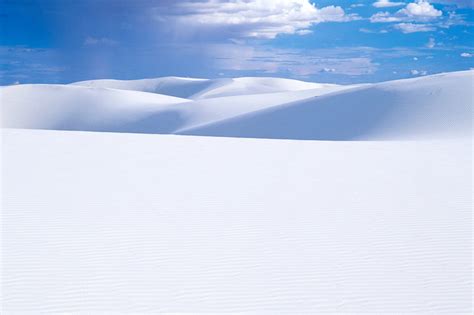 ガイコツとオレンジ色がいっぱいメキシコの「死者の日」とは？｜トリドリ