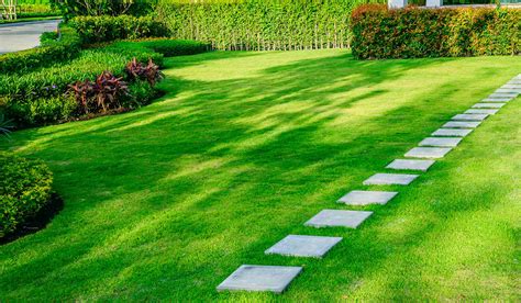 How To Lay Stepping Stones On Different Surfaces Stepping Stone Guide