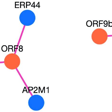Network Visualization Of Hpis Between Ten Genes And Sars Cov 2