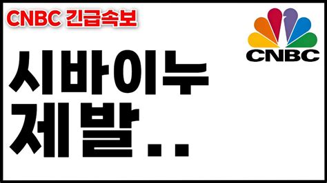 시바이누 코인 Cnbc 긴급속보 제발 이렇게만되라 시바이누 시바이누코인 시바이누분석 코인 Shiba