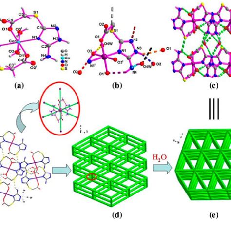 A The Coordination Environment Of Coii In 1 B The Details Of