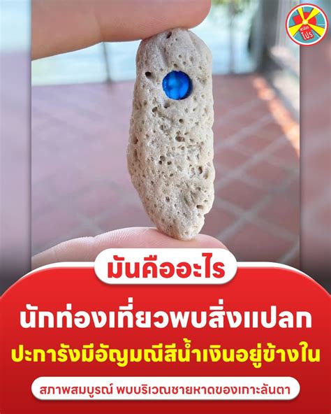 สมาคมนิยมสาวอวบอ้วนแห่งป สมาคมนิยมสาวอวบอ้วนแห่งประเทศไทย