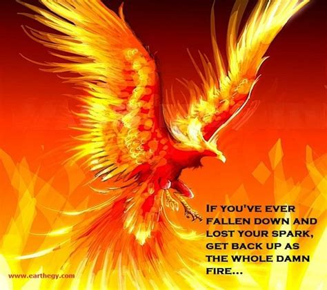 Phoenix Rising Quotes Quotesgram