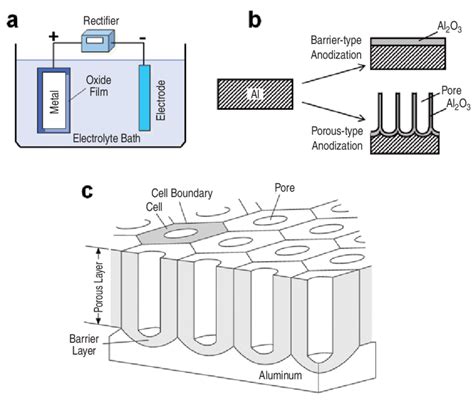 Schematic Illustrations Showing A A Simplifi Ed Anodization Setup Download Scientific