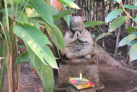 Under The Peepal Tree Osho News