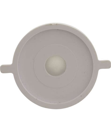 Check Valve Assembly Cmp Powerclean Mini Chlorinator 25280 000 920