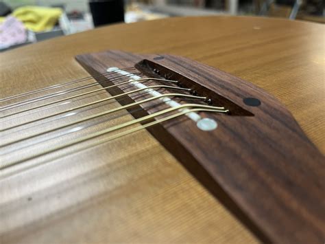 Takamine 12 String Owls Guitar Sanctuary