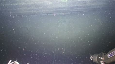 Viosca Knoll Hamdanlab