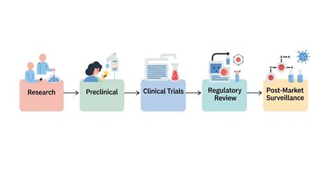 Vaccine Development Stages And Approval Process Explained