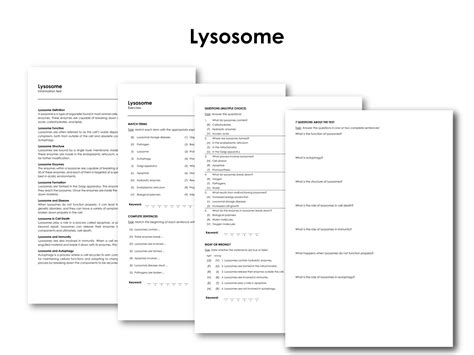 Lysosome Made By Teachers