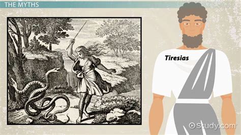 Tiresias In Greek Mythology And The Odyssey Overview And Role Lesson