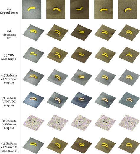 Example Outputs Of Our Experiments For Volumetric Regression Showing Download Scientific