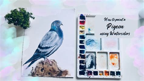 How To Paint A Pigeon Using Watercolors Step By Step Guidance