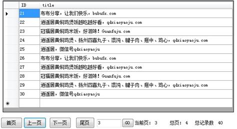 Winform里datagridview分页代码，access数据库 Weekzero 博客园