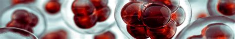 Comprehensive Quality Control And Interactive Analysis Of Single Cell