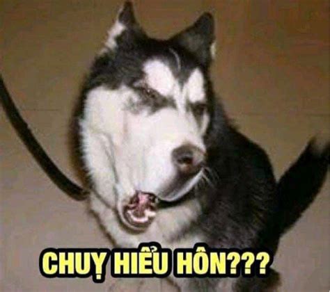 Meme Là Gì 300 Meme Hài Chất Nhất Quả đất để Bạn Comment Dạo Thả Ga