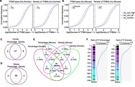 Transcription Factor Binding Motifs Are Enriched In The Promoters Of
