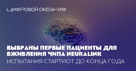 Выбраны первые пациенты для вживления чипа Neuralink Испытания