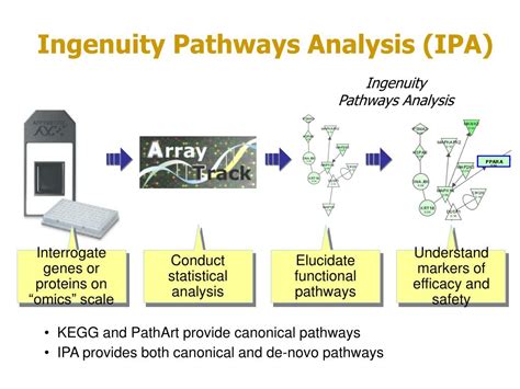 Ppt Arraytrack Data Management Analysis And Interpretation Tool