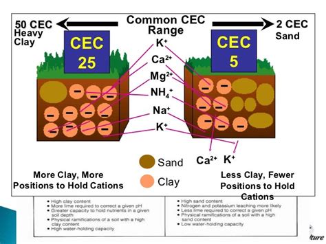 Cec Effects On Turf Soil Fertility Management Nov 30 2011