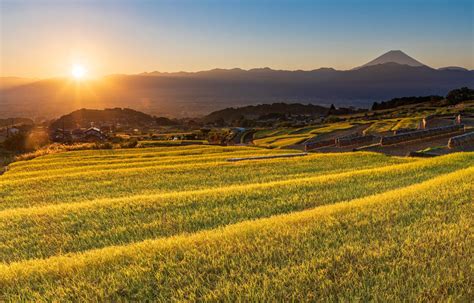 일본의 지속가능한 농업 All About Japan