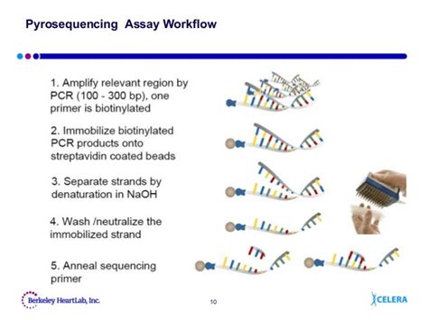 pyrosequencing slide presentation rev3