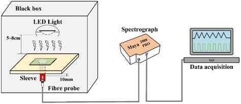 Absorbance Spectrum Experiment Download Scientific Diagram