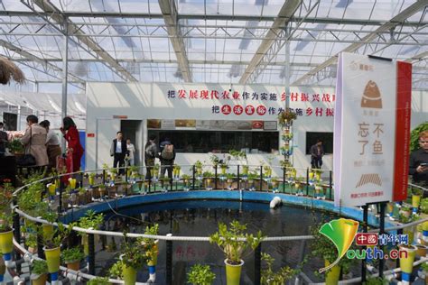 2022中国有约海盐雪水港村低碳村落构建乐居型未来乡村 看点 华声在线