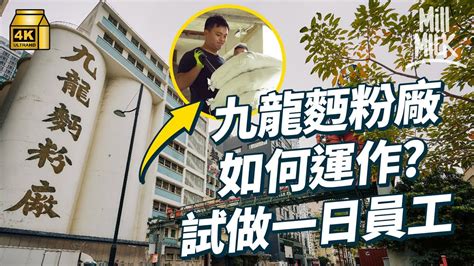MM入九龍麵粉廠打工 入面有條4層樓高螺旋滑梯 將麵粉直接瀡落樓用大銅喉跨過對面馬路吸44噸小麥 一包麵粉22kg 送貨師傅最高紀錄一次