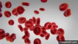  Cells Animated  On Er