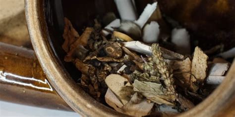 熬中药的步骤和方法360新知
