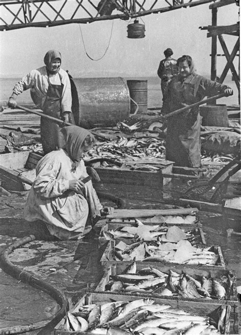 Моя родина Магадан Upd Вынесена отдельно и дополнена статья о колонпосёлке «Весёлая