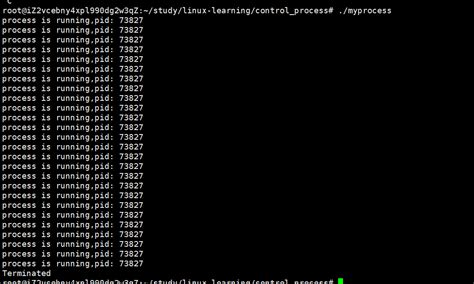 Linux进程控制进程创建进程终止进程等待进程替换 EW帮帮网