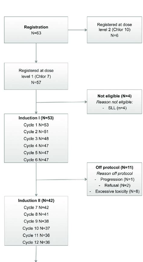 Flowchart Of Number Of Patients Through The Study Protocol And Off