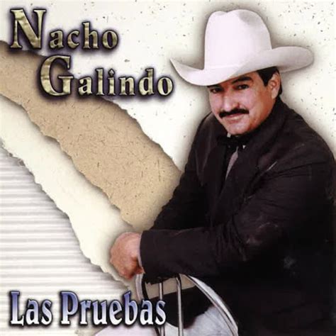 Las Pruebas YouTube Music