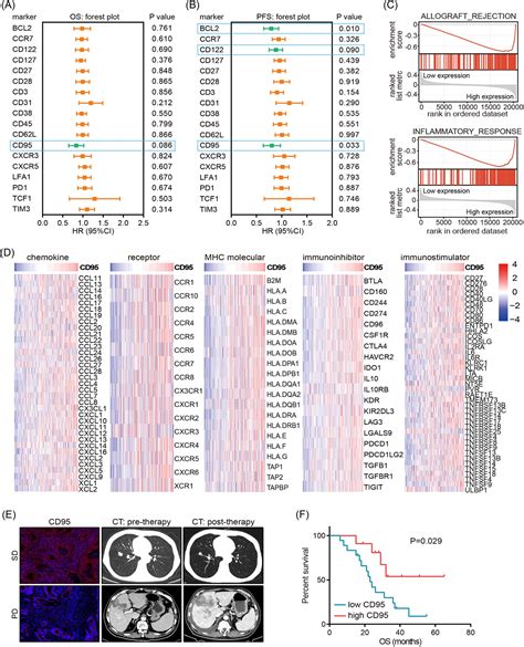 Systematic Analysis Of Markers For T‐cell Differentiation Revealing