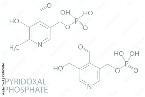 Chemical Structure Of Creatine Phosphate At Heidi Tan Blog
