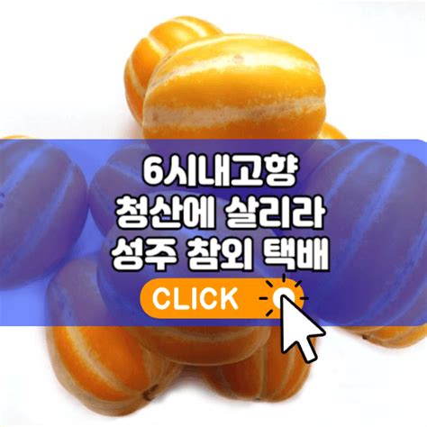 6시내고향 청산에 살리라 성주 참외 가야산의 선물 성주 참외의 달콤한 유혹
