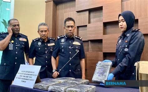 Empat Termasuk Seorang Wanita Ditahan Bersama Lebih 16kg Ganja