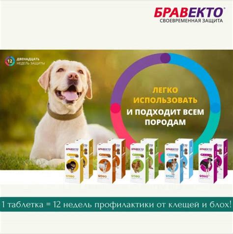 Бравекто для собак (Bravecto) от клещей и блох, любой вес, Австрия, в ...